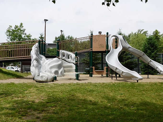 Playgrounds in Farmington don't need fancy digital enhancements&mdash;kids still discover the simple joy of sliding down actual slides under actual skies.