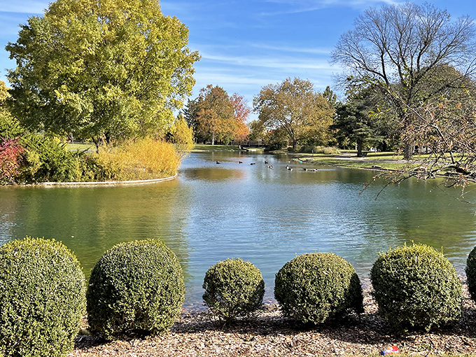 Serenity now! This tranquil pond reflects autumn's golden palette while perfectly trimmed shrubs stand at attention along the shore.