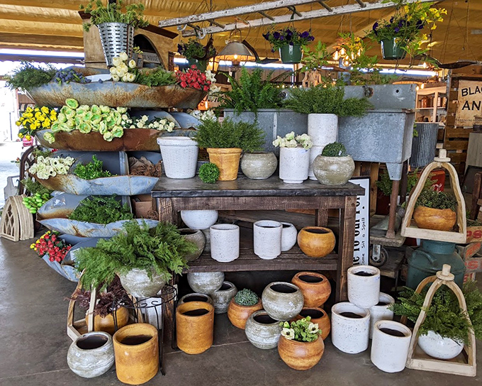 Garden dreams take root at this display of rustic planters. Your succulents are practically begging for these earthy new homes.