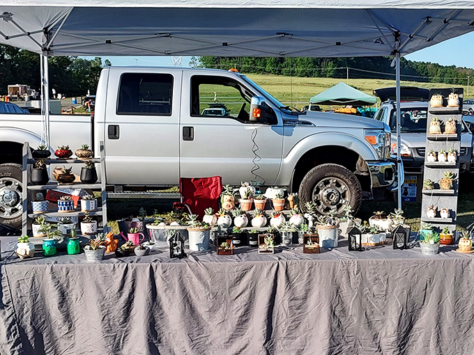 A garden center on wheels, where succulents and cacti find new homes. Plant parenthood begins with a flea market bargain.