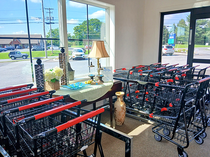 Shopping carts standing at attention, ready for their mission. Like chariots for the bargain-hunting gods of Lancaster County.