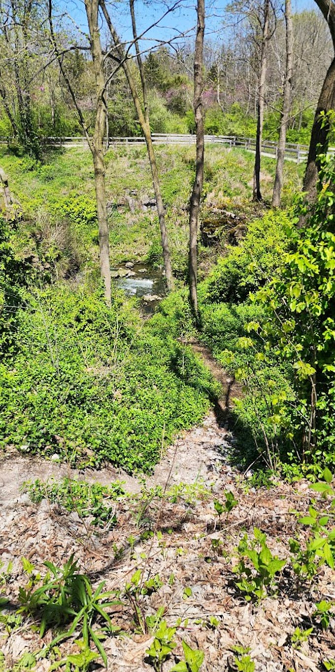 Standing on this riverbank, you half expect Huckleberry Finn to float by on a raft. Some places just feel timeless.