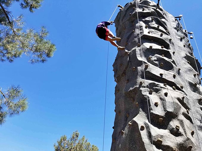 The climbing wall challenges visitors to scale new heights after exploring depths &ndash; a perfect symmetry for those who refuse to choose between up and down.