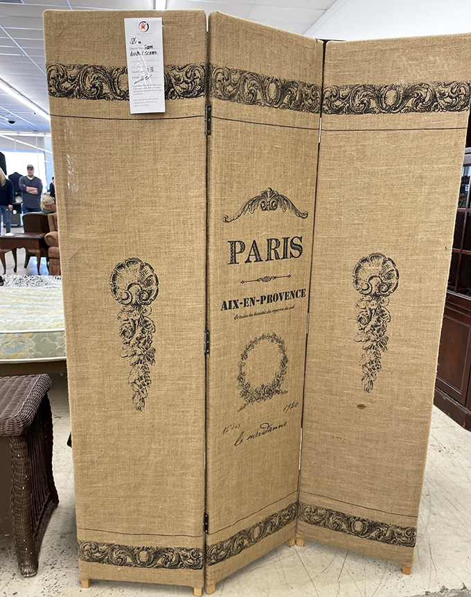 Parisian chic meets practical privacy. This room divider brings European flair to any space needing definition or a touch of "je ne sais quoi."