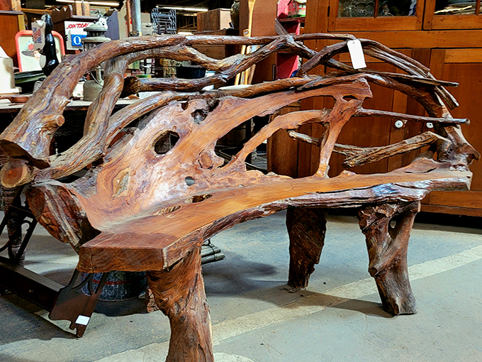 Mother Nature's sculptural masterpiece transformed into the world's most interesting bench. Sitting here would make even your boring stories sound fascinating. 
