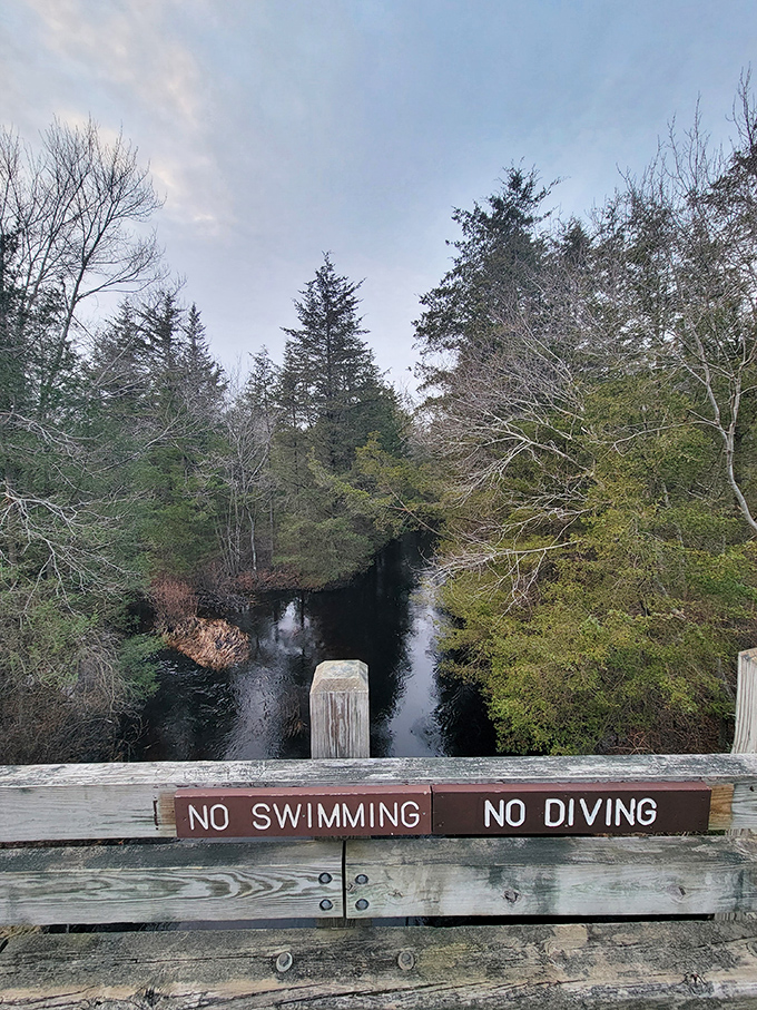 The "No Swimming" sign seems almost unnecessary—these tea-colored waters hide their depths like a poker player with a good hand.