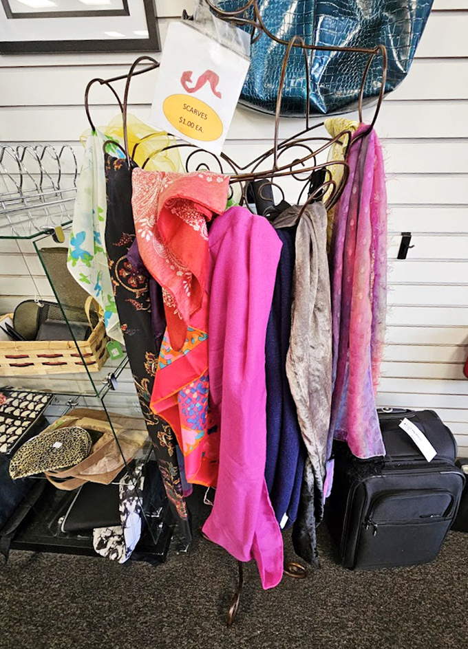 Scarves so vibrant they could double as emergency mood enhancers. That pink silk number has "fabulous brunch accessory" written all over it.