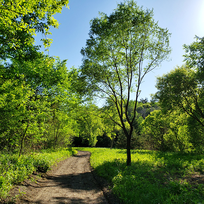 Sunlit paths that wind through greenery so lush you'll swear you took a wrong turn into Minnesota.