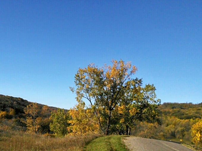 Autumn paints Sica Hollow with its signature palette, turning an ordinary road into a calendar-worthy moment.