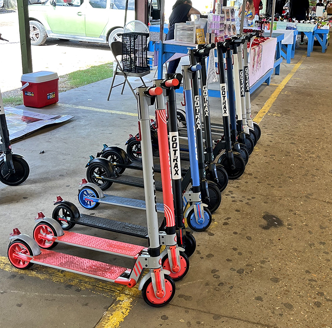 Scooter lineup ready for action! Urban mobility meets childhood joy in these colorful rides waiting for their next adventure.