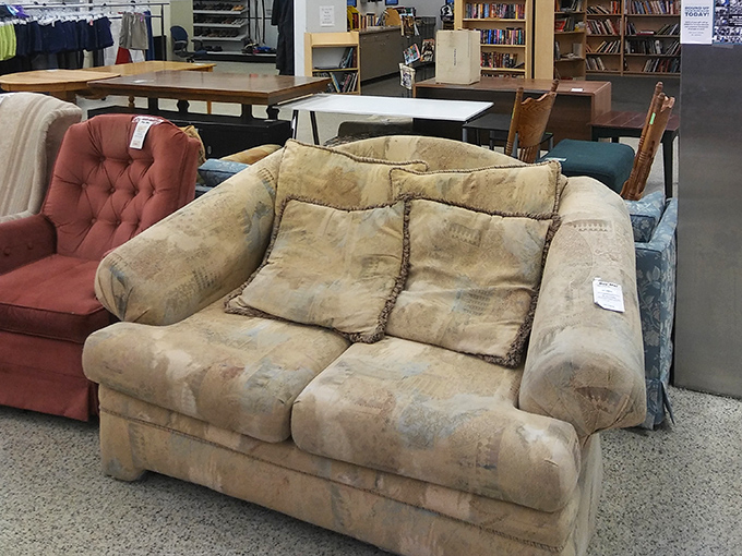 Sofa auditions: that beige one has "afternoon nap" written all over it, while the burgundy number screams "sophisticated book club."