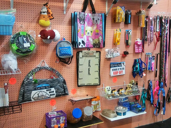 Pet accessories that prove even Fido deserves retail therapy. That pink dog tote bag is practically begging to carry a pampered pooch.