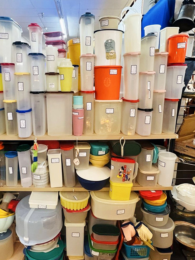Tupperware that's outlived marriages. These vintage containers have preserved more family recipes and leftovers than any modern plastic ever could. 