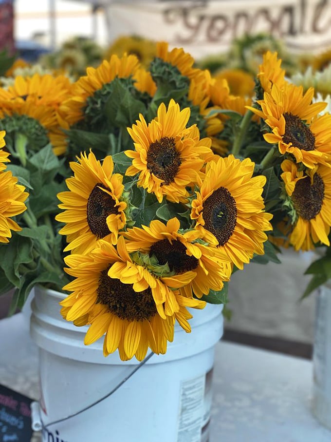 Sunflowers standing at attention in their white bucket battalions&mdash;nature's most cheerful reminder that beauty and joy are essential market purchases.
