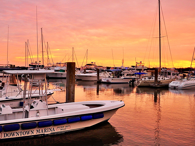 The marina at sunset doesn't just dock boats—it collects dreams, casting golden light on vessels of all sizes.