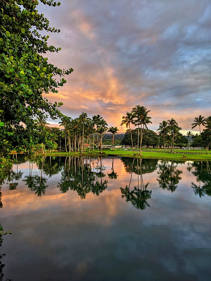 Sunset transforms Liliuokalani Gardens into a mirror of gold. When the day's last light hits those palm reflections, even locals stop to stare.