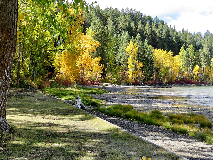 Fall's golden touch transforms the shoreline into a painting. Even colorblind visitors can't help but be impressed by this display.