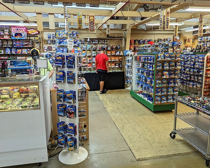 Toy car nirvana where collectors speak in hushed tones about die-cast rarities. Every aisle has its specialists and devoted followers. 