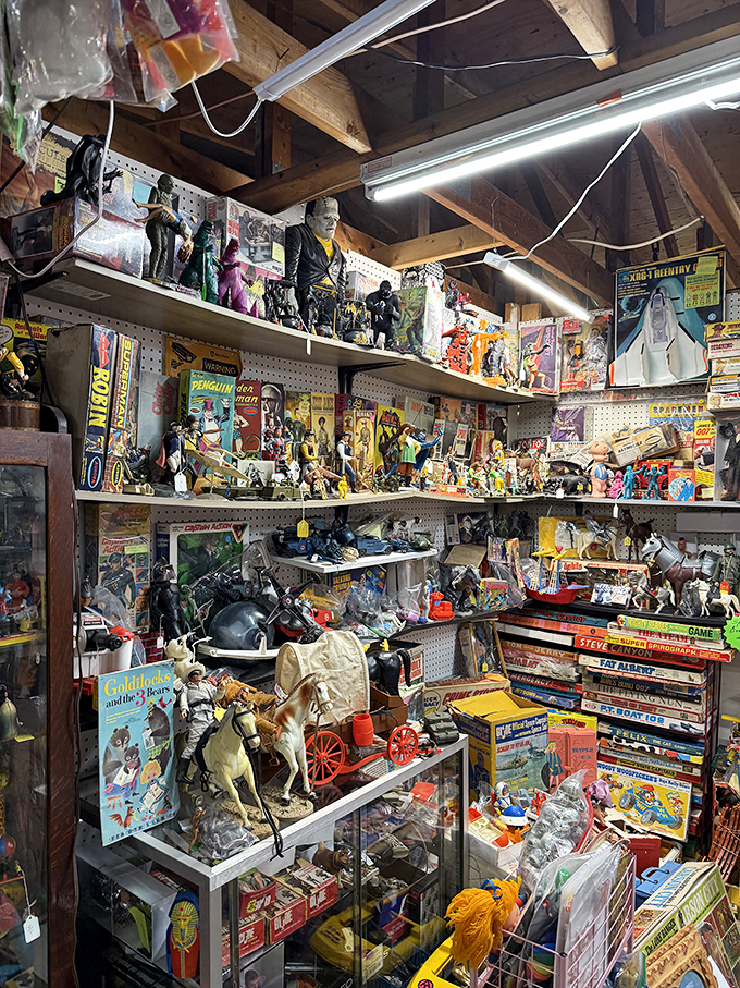 Childhood memories stacked floor to ceiling. This toy collection would make any adult temporarily forget about their mortgage payments and smartphone notifications.