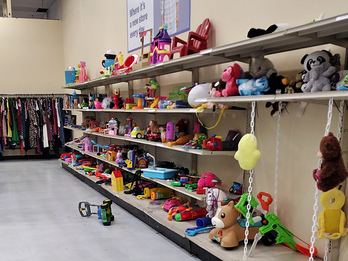 Childhood joy stacked on shelves&mdash;plush friends, plastic vehicles, and forgotten treasures ready for second acts in new playrooms.