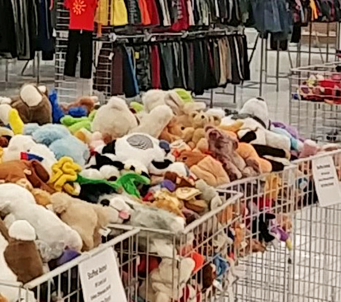 A mountain of plush companions seeking new homes. Each stuffed animal carries potential for becoming some child's beloved bedtime guardian.