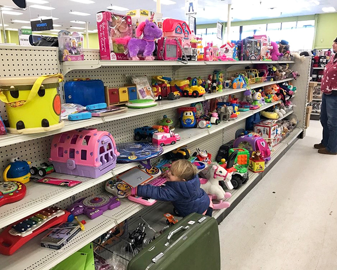 The toy aisle&mdash;where childhood memories are recycled and plastic treasures await their next imaginative adventure.