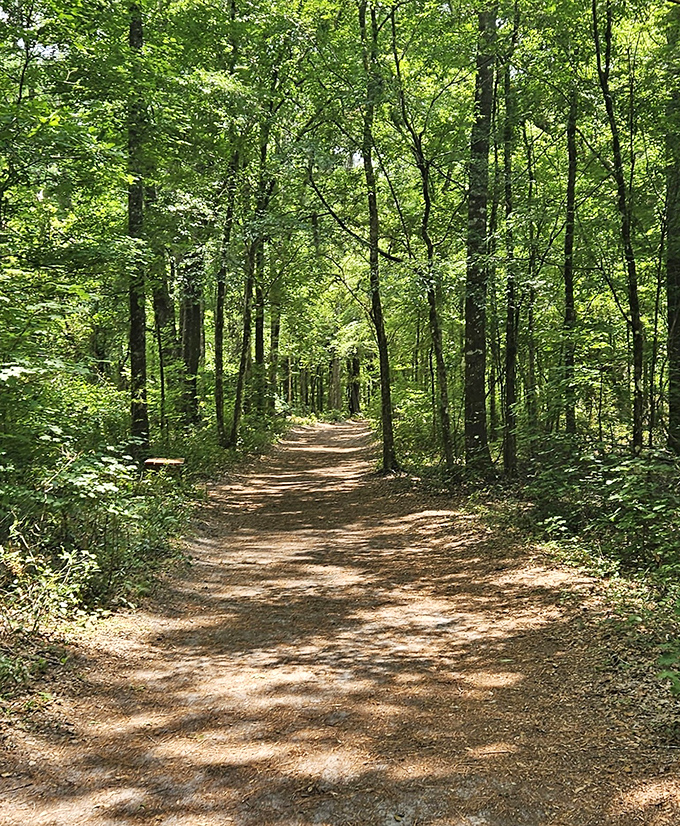 This sun-dappled trail promises the best kind of Florida treasure hunt&mdash;one that ends with a refreshing dip in crystal waters.