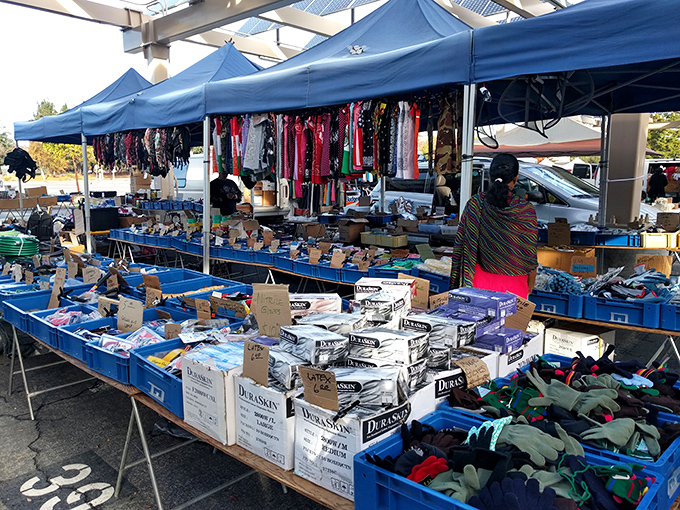 Blue bins of bargains beckon beneath blue skies&mdash;a color-coordinated shopping experience that would make Marie Kondo both proud and anxious.