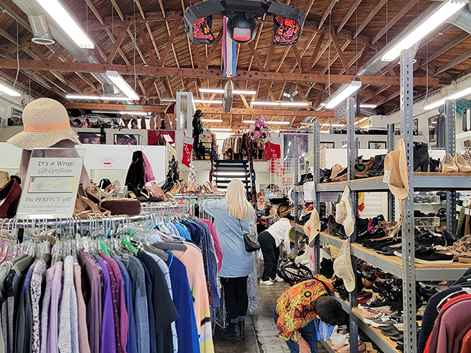 The store's industrial shelving creates a warehouse vibe that says, "Yes, we're serious about our massive inventory of Hollywood castoffs."