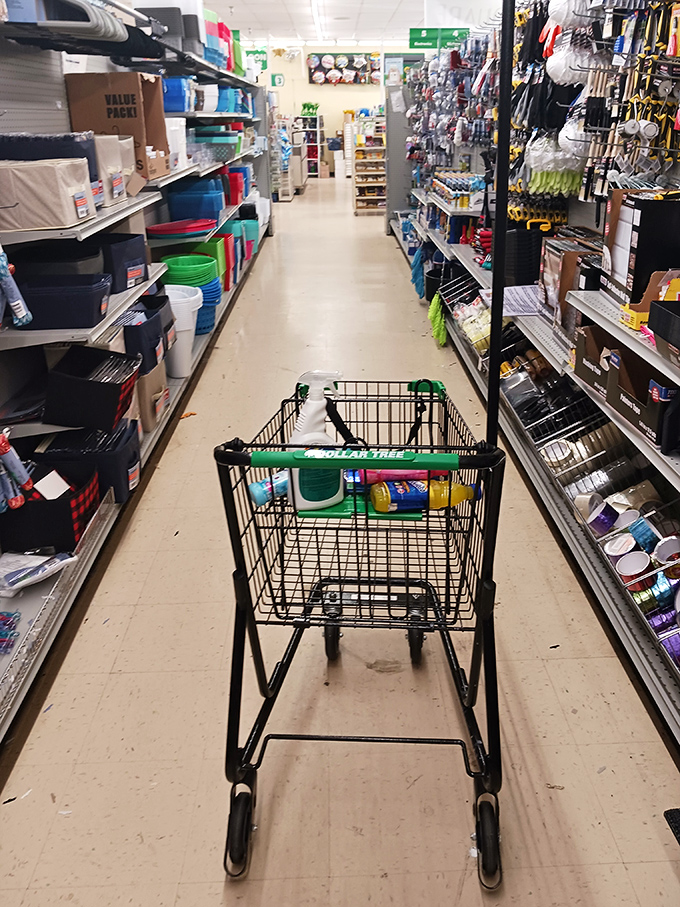 A shopper's-eye view down the aisle of practical household goods&mdash;proof that even the most mundane shopping can feel like a treasure hunt.