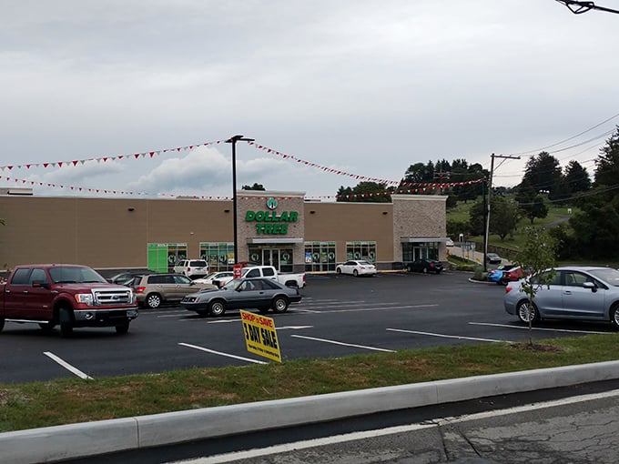 Dollar Tree's hillside headquarters stands ready for bargain hunters. Those colorful pennants aren't just decoration&mdash;they're celebrating your impending savings.