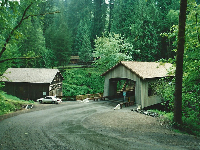 A different perspective reveals how perfectly the bridge nestles into its surroundings, like it grew there rather than being built.
