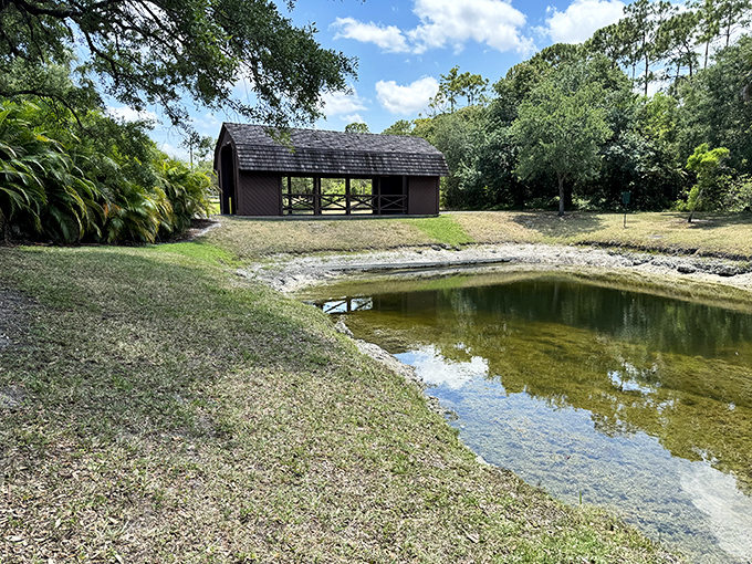 The bridge's reflection in the still water creates a perfect circle, nature's geometry lesson taught without a single textbook. 