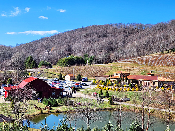 Fall transforms the winery into a kaleidoscope of color, proving Mother Nature remains the most talented landscape artist of all.
