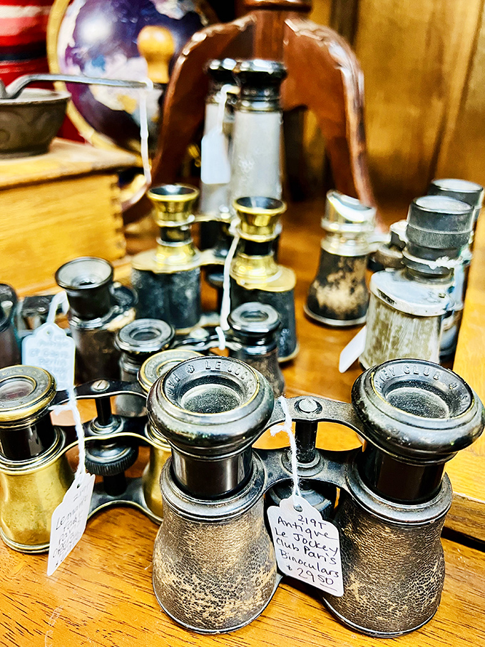 Eyes through time &ndash; these vintage binoculars once spotted wildlife, battleships, or perhaps the neighbors. Quality craftsmanship that Instagram filters can't replicate.