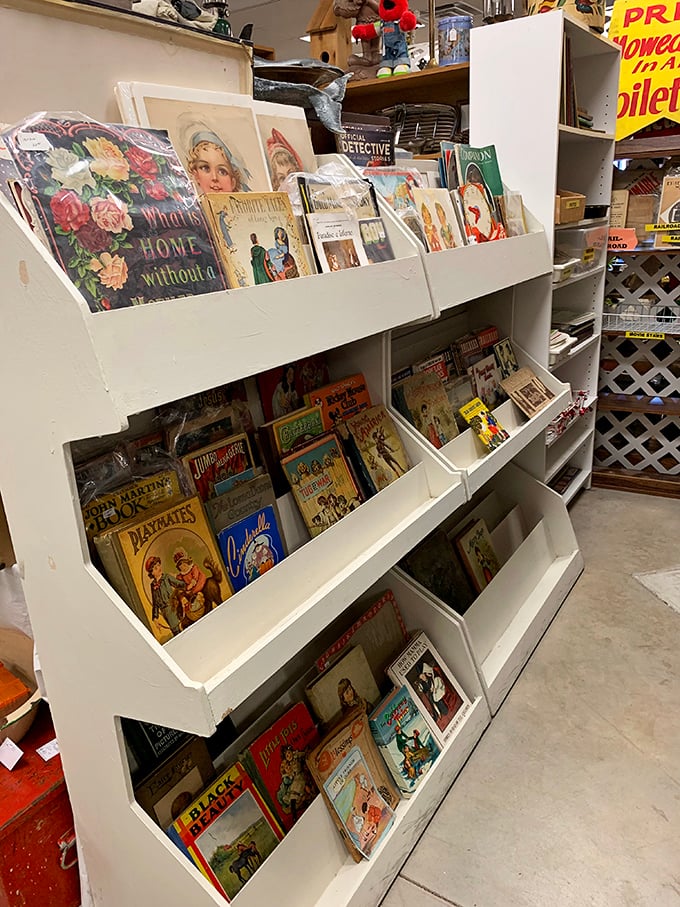 Children's books that entertained generations before screens took over. The illustrations alone tell stories of changing childhood ideals and aesthetics.