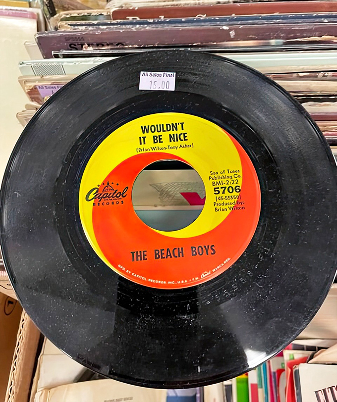 The Beach Boys on vinyl for pocket change&mdash;"Wouldn't It Be Nice" indeed to build a record collection this affordably.