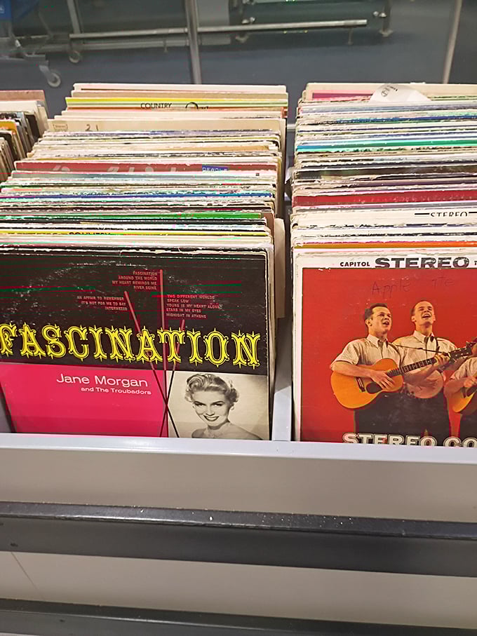 Vinyl heaven for music lovers! These albums aren't just records&mdash;they're time machines to decades when music came with gorgeous album art.