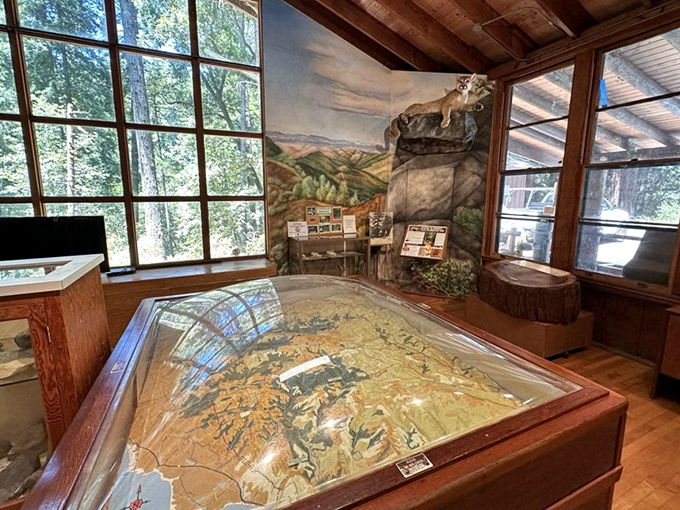 Inside the visitor center, a 3D map shows what you're in for. Think of it as nature's spoiler alert, minus the angry tweets.