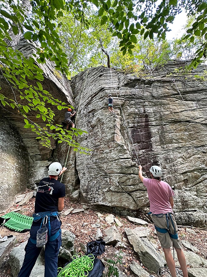 Rock climbing in Connecticut? These brave souls scale nature's original stairmaster while friends provide encouragement and rope management.