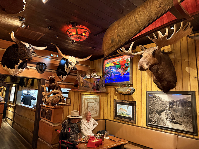 The taxidermy collection watching over diners creates conversation starters before your appetizers even arrive at the table.