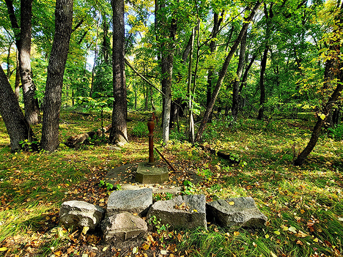 This vintage water pump stands among scattered stones, a humble reminder of simpler times in the park.