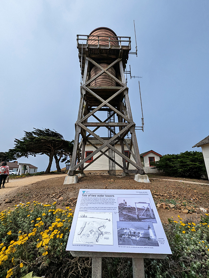 The wooden water tower stands like a sentinel from another era, when infrastructure was built with both function and character.