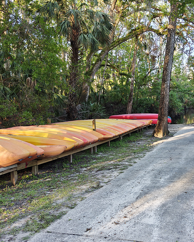 A rainbow of canoes and kayaks waiting patiently for their next adventure &ndash; like a nautical candy store for outdoor enthusiasts.