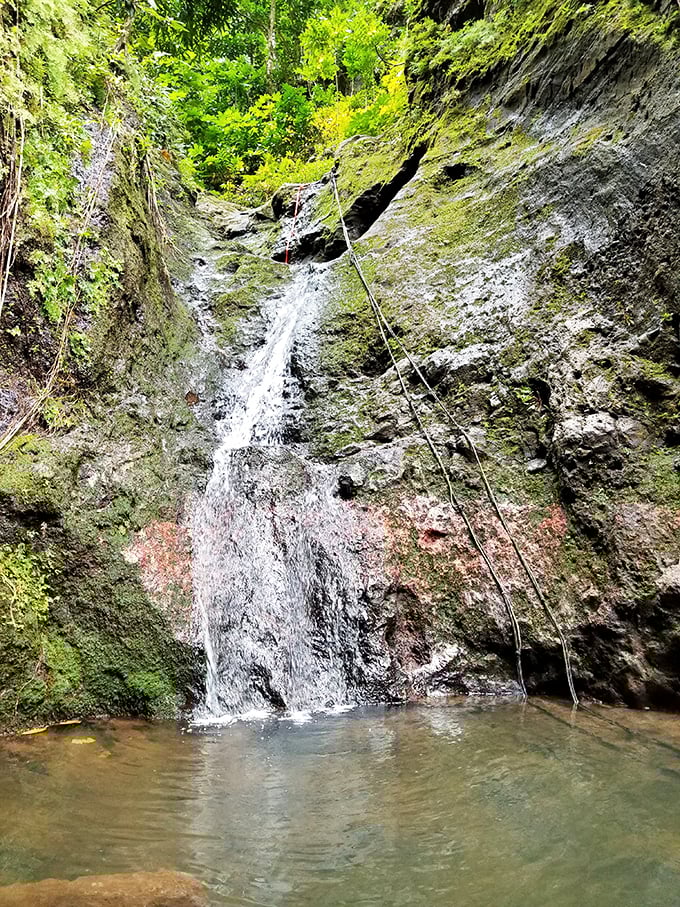 Nature's shower system at work. This hidden waterfall creates its own microclimate of cool mist and tranquility&mdash;swimming hole included.
