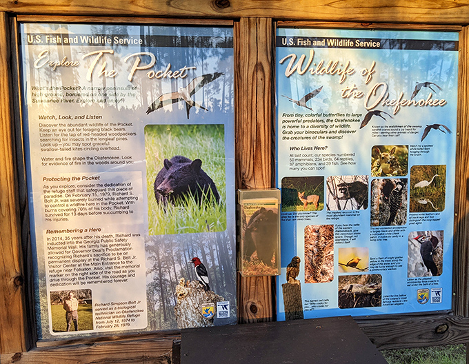 Nature's encyclopedia on display&mdash;these informative panels reveal the wild soap opera that is life in the Okefenokee.