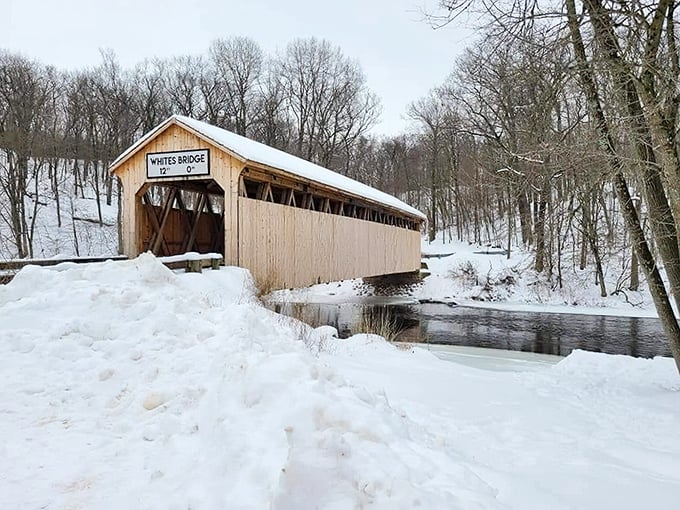 Winter transforms White's Bridge into a snow-dusted postcard. Michigan's seasons give this landmark four distinct personalities, each more photogenic than the last.