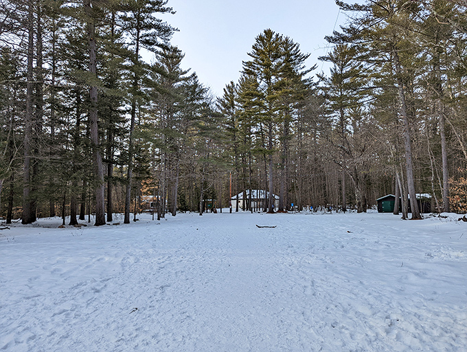 Winter transforms Echo Lake into a serene snowscape, where the usual soundtrack of splashing is replaced by peaceful silence.