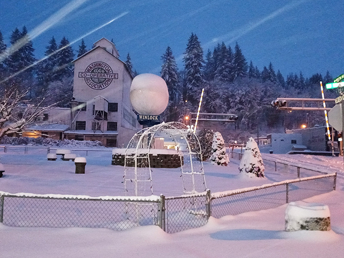 Even in winter's embrace, the World's Largest Egg stands out against the snow-covered landscape, a year-round beacon of Winlock pride.