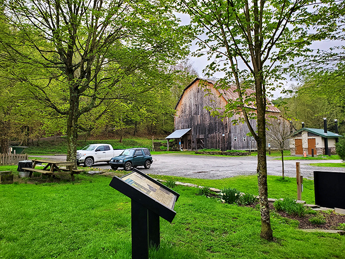 This weathered barn stands as a testament to the area's agricultural heritage. Its silvery wood has earned every beautiful gray plank through decades of Pennsylvania seasons.